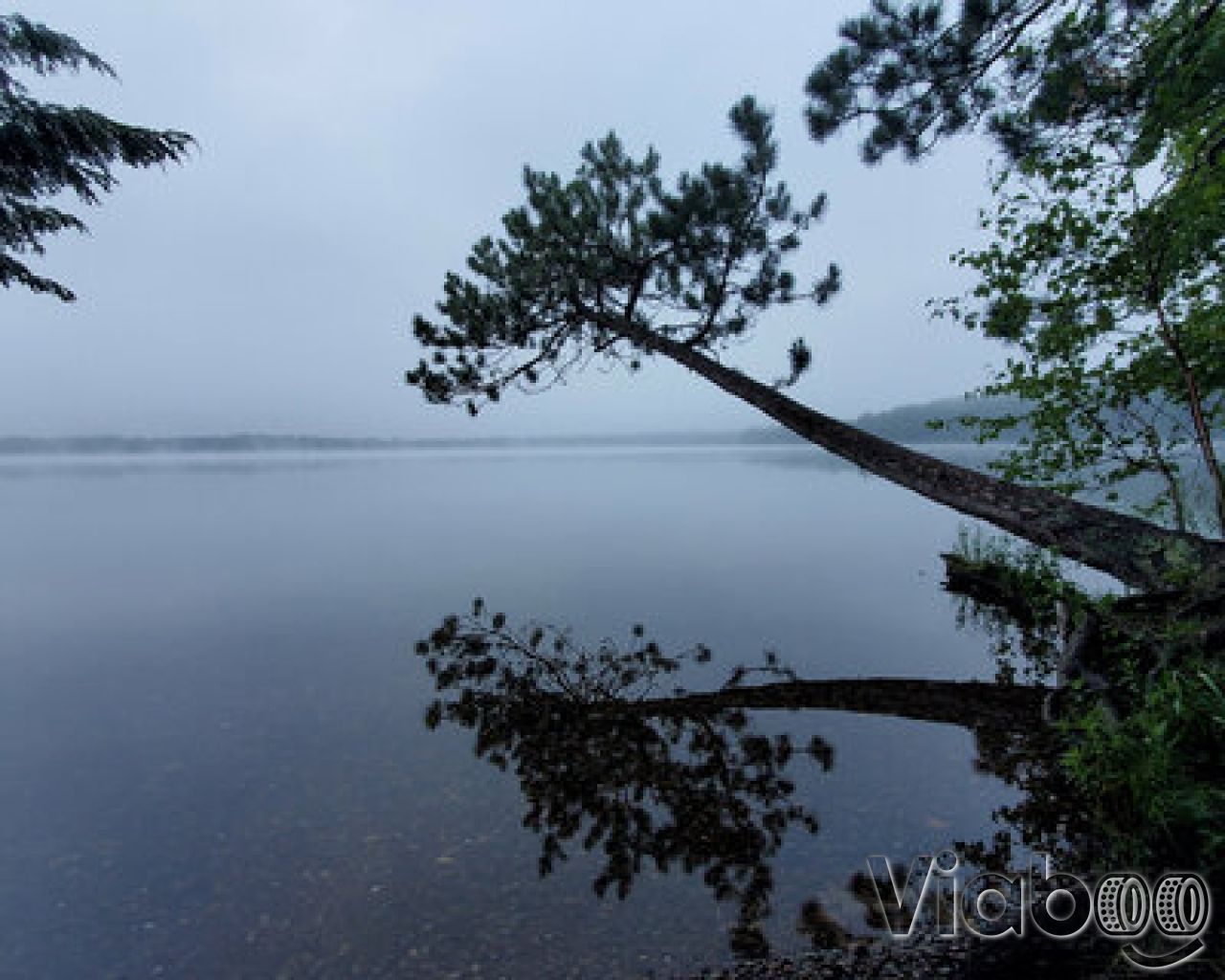 Franklin Lake Campground