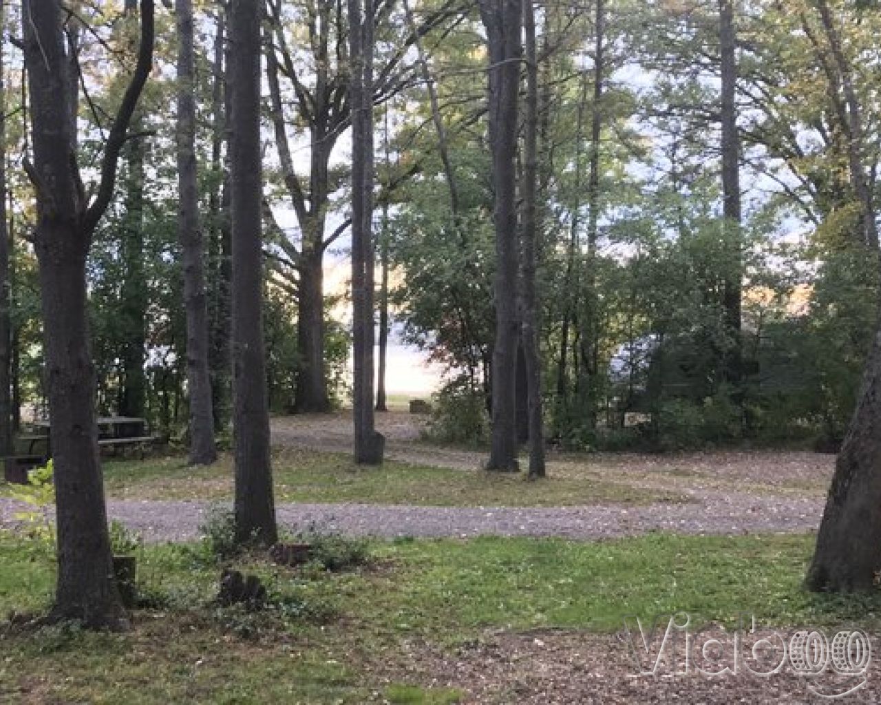Fitzroy Provincial Park