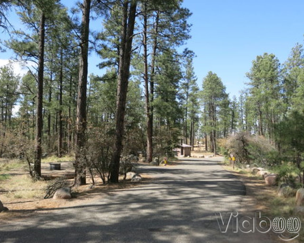 White Spar Campground