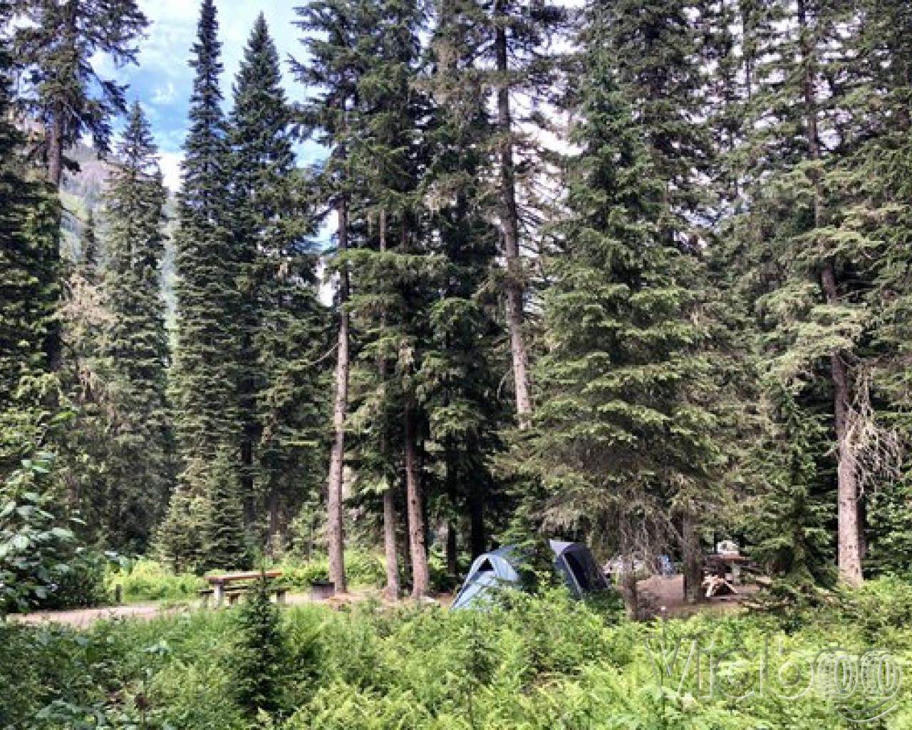 Loop Brook Campground