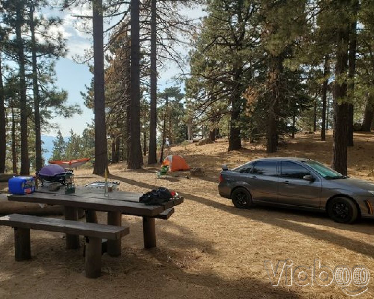 Reyes Peak Campground