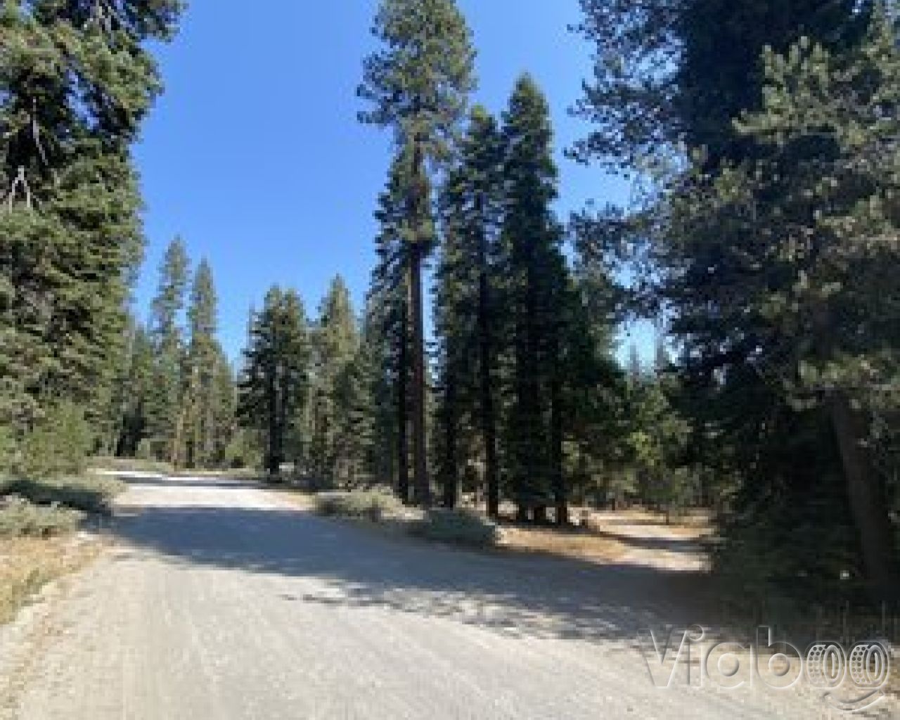 Benner Creek Campground