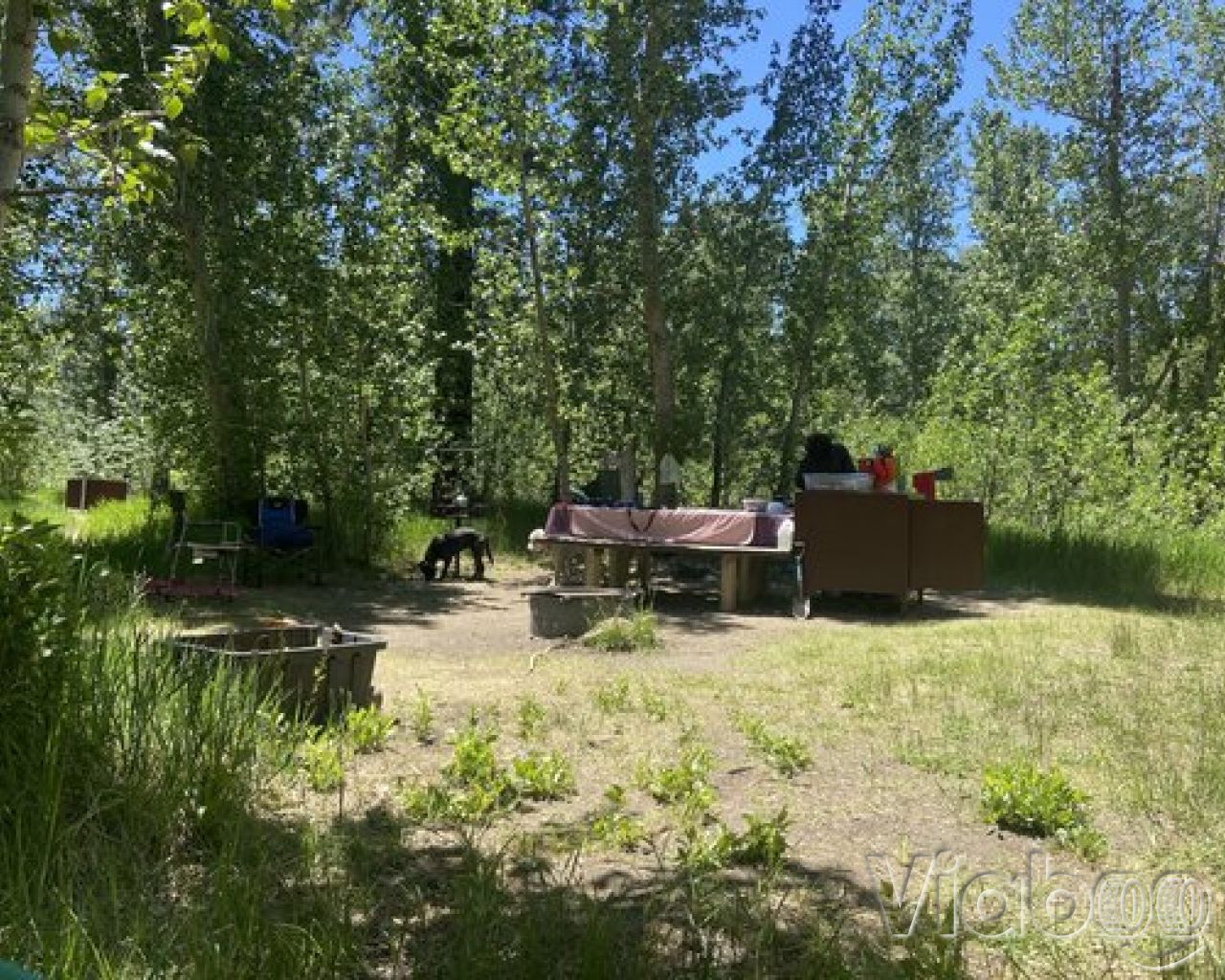 Markleeville Campground