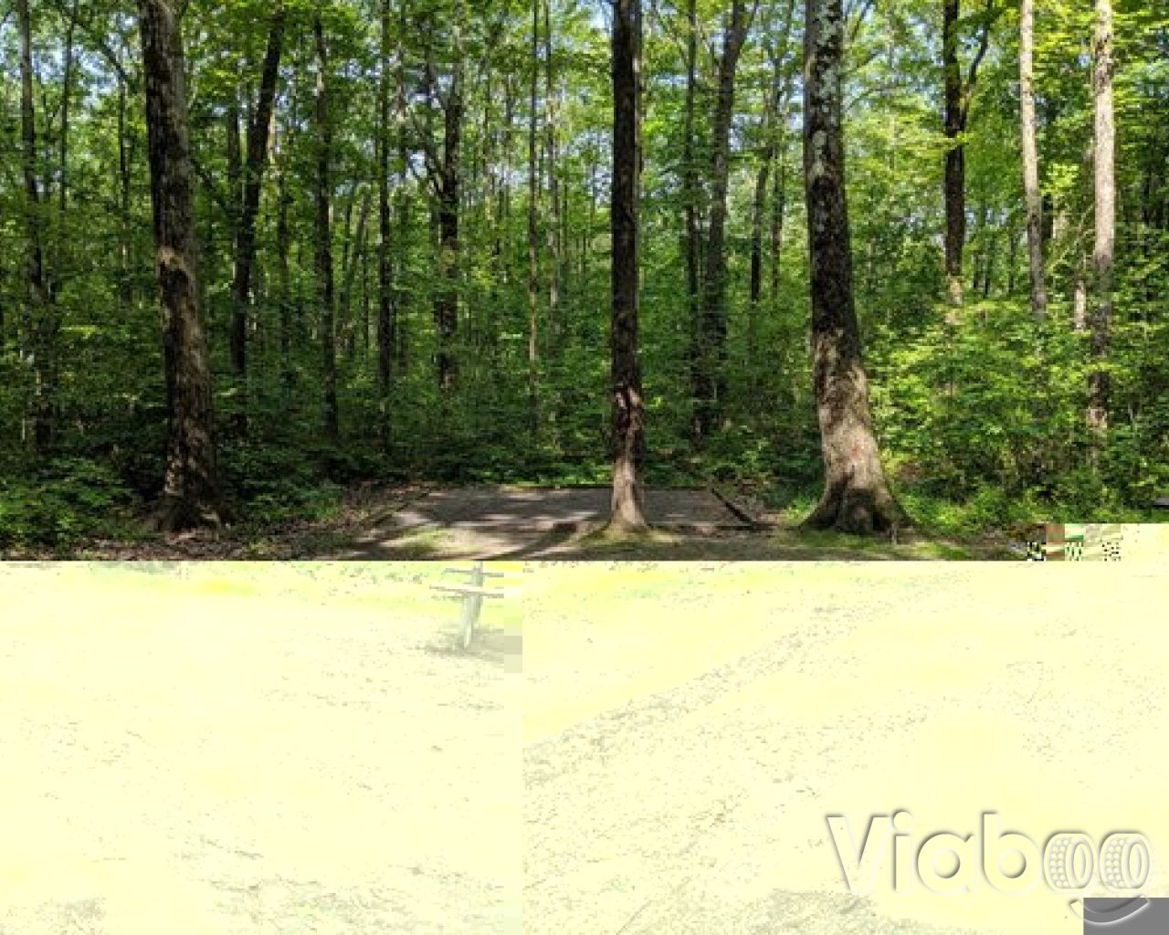 Blueberry Patch Campground